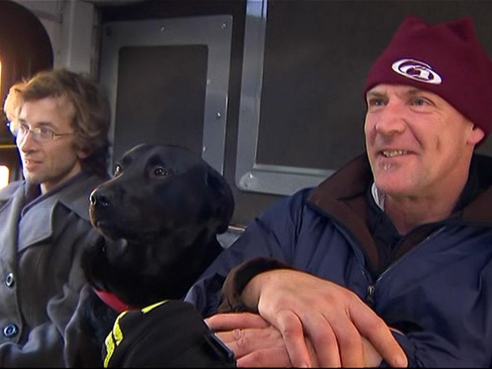 Canine Commuter Raises Eyebrows on Seattle Bus | whas11.com