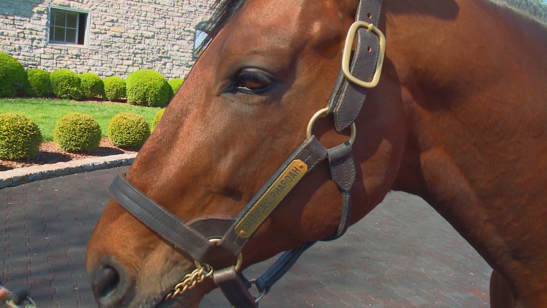 Behind the Names of Derby Winning Horses | wfmynews2.com