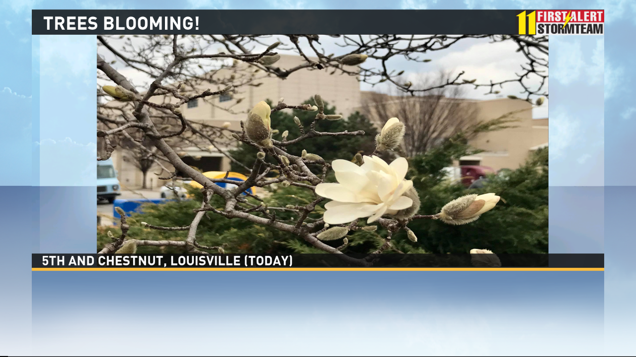 February heat wave to end with storm chances | whas11.com