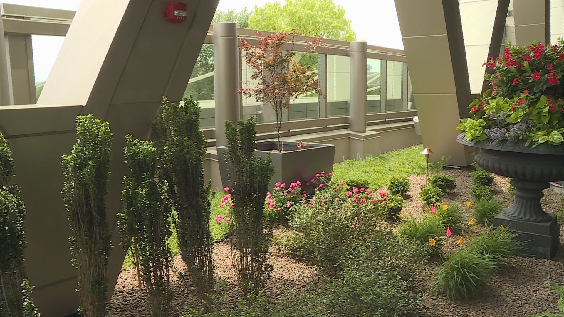 Hospital Rooftop Gardens Gardens In The Hospital. (A) The