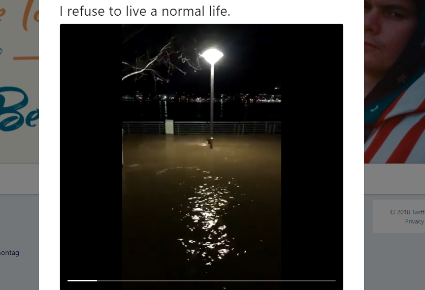Ohio River flood: Man dives in | whas11.com